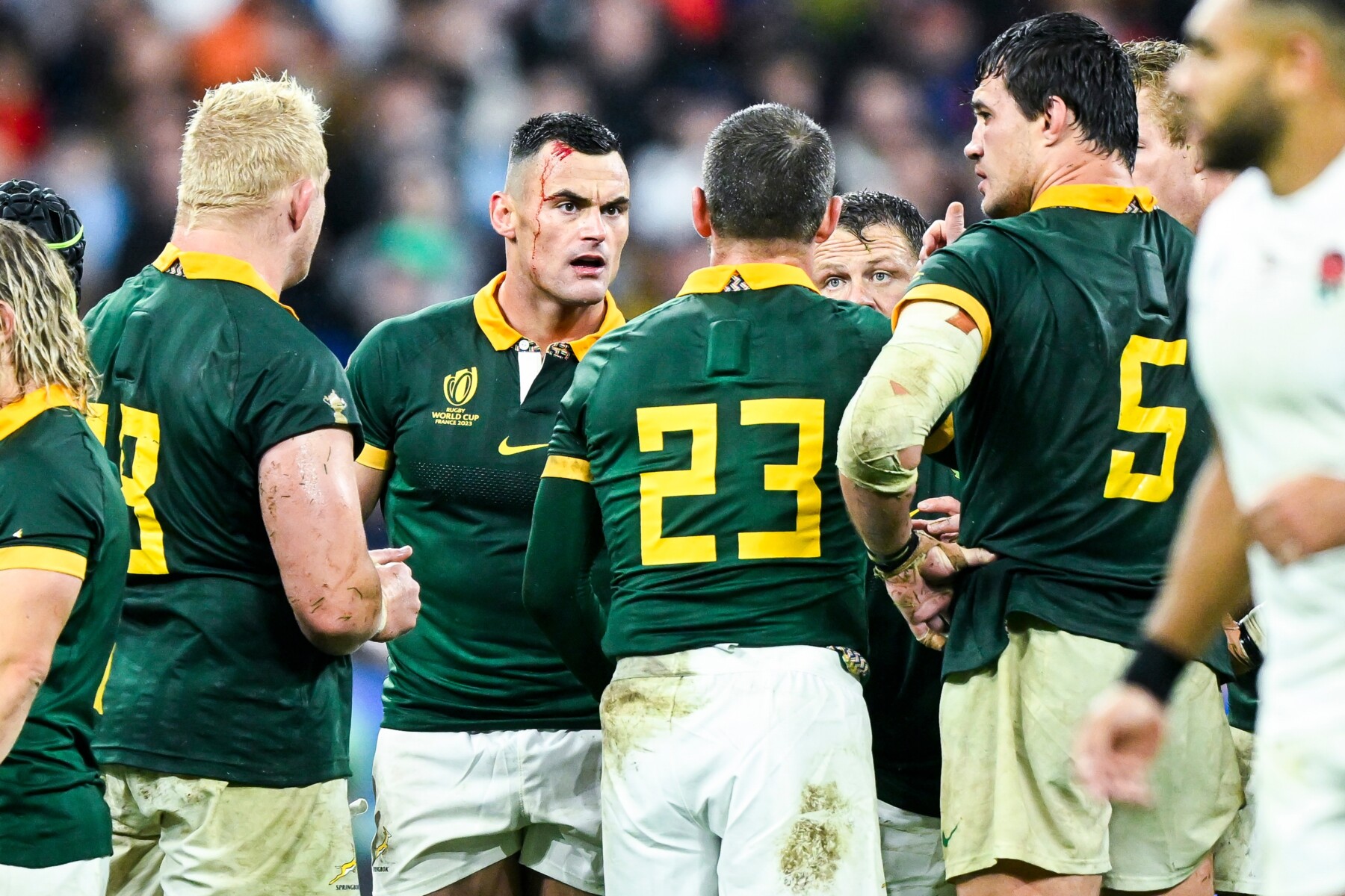 Springboks Rugby: A beacon of national unity and untapped commercial ...